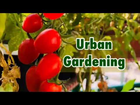 Urban Gardening- Introduction, Part-1