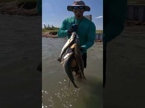 Port Mansfield, Texas #fishing #trout #reddrum #flounder #portmansfield #texas #fish