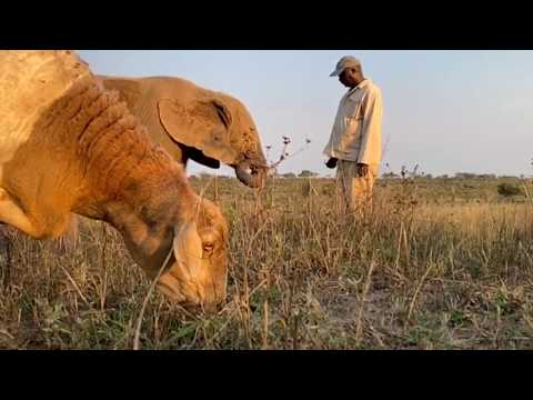 Three of Khanyisa's favourite things: sand, water and foraging!