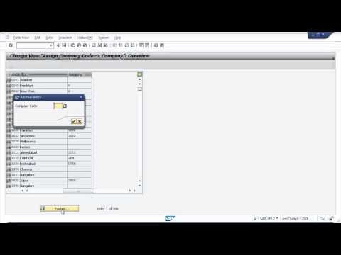 How to Assign Company code to Company