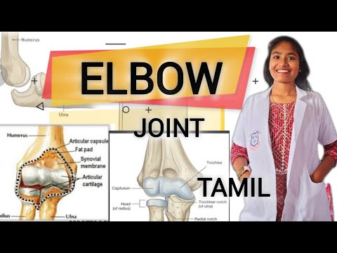 elbow joint | osteology ,ligaments, articular surface Anatomy Important Essay Qns anatomy in tamil