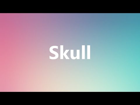 Skull - Medical Definition and Pronunciation