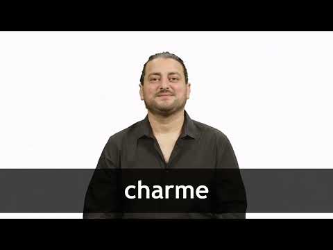 English Translation of “CHARME” | Collins French-English Dictionary