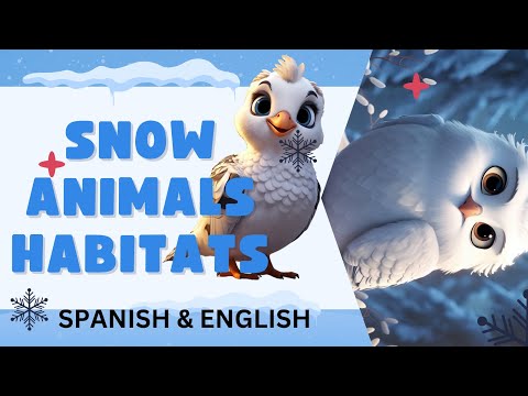 Spanish| Learn Snow Animal Survival Habitats | For Kids| English And Spanish 2 Part Video