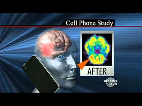 Study: Cell phone safety put to the test