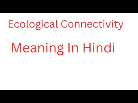 Ecological Connectivity Meaning in Hindi