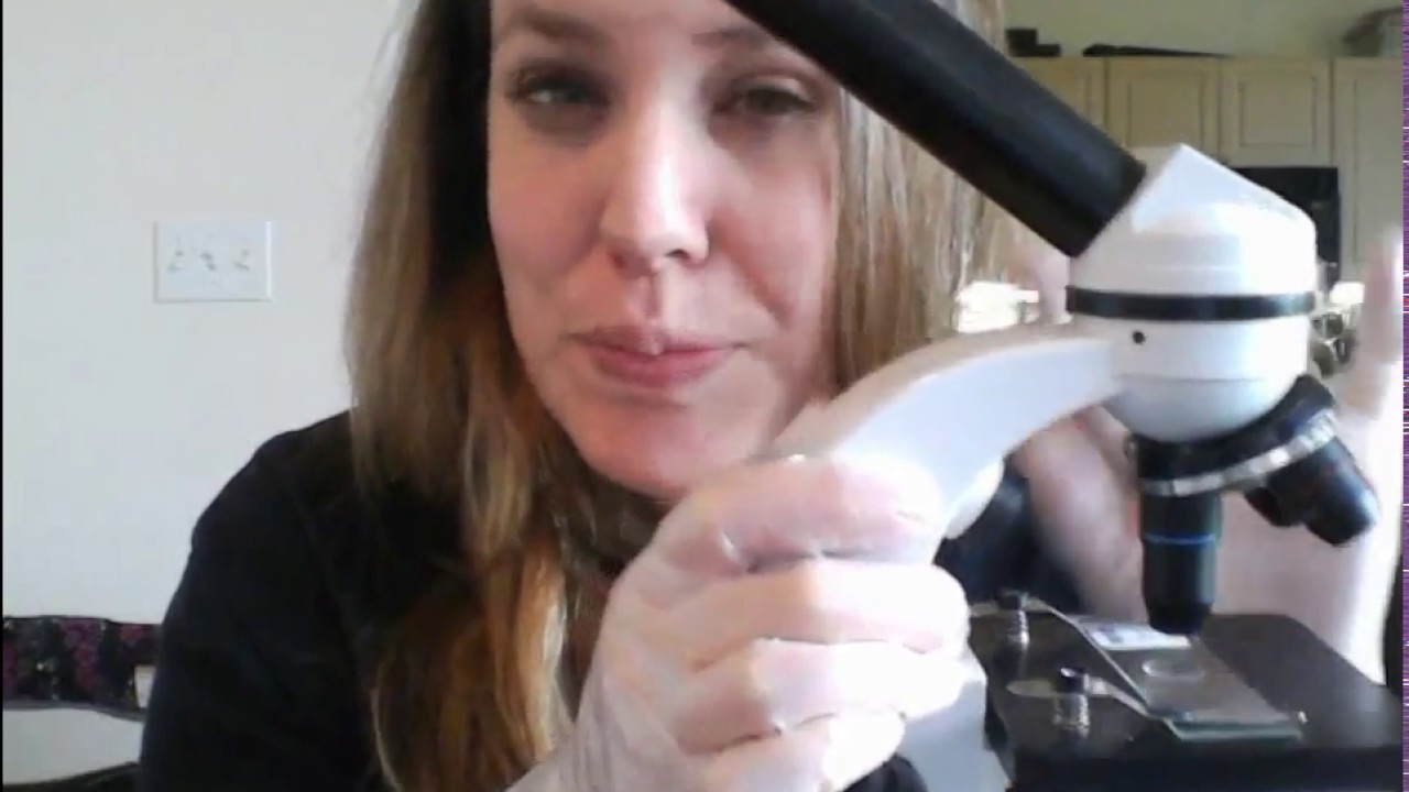 Copy of Lab Activity 2 Pre lab Lecture Use of the Microscope