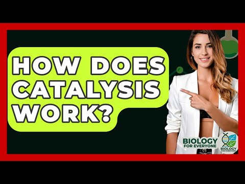 How Does Catalysis Work? - Biology For Everyone