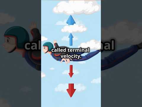 Terminal Velocity Explained... via Skydiving 🤔 #facts