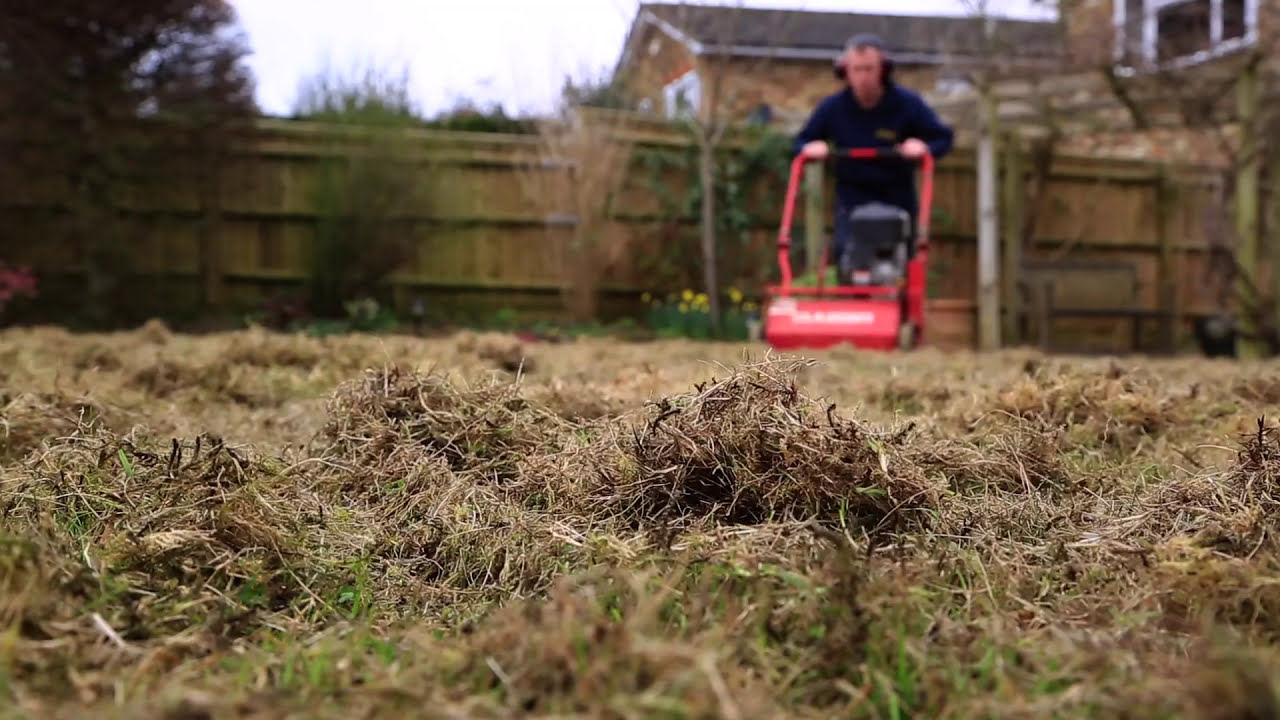 Lawn Scarification - Correct Scarification Procedure