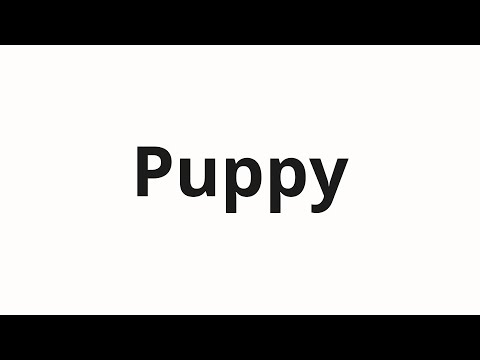 How to pronounce Puppy
