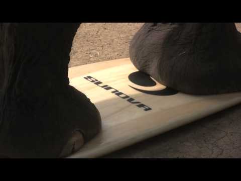 Sunova Technology | Durability - Elephant test