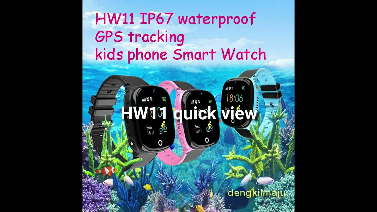HW11 quick view