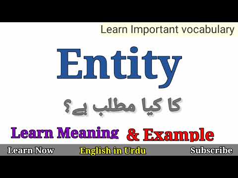 Entity Meaning in Urdu