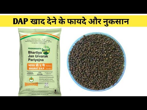 DAP Fertilizer - Di Ammonium Phosphate Fertilizer Latest Price ...