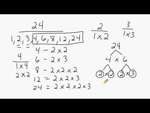 Factors, Prime Factors and Composite Factors