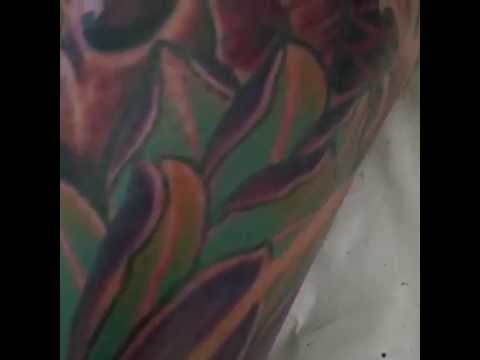 Japanese koi fish tattoo by steve golden triangle