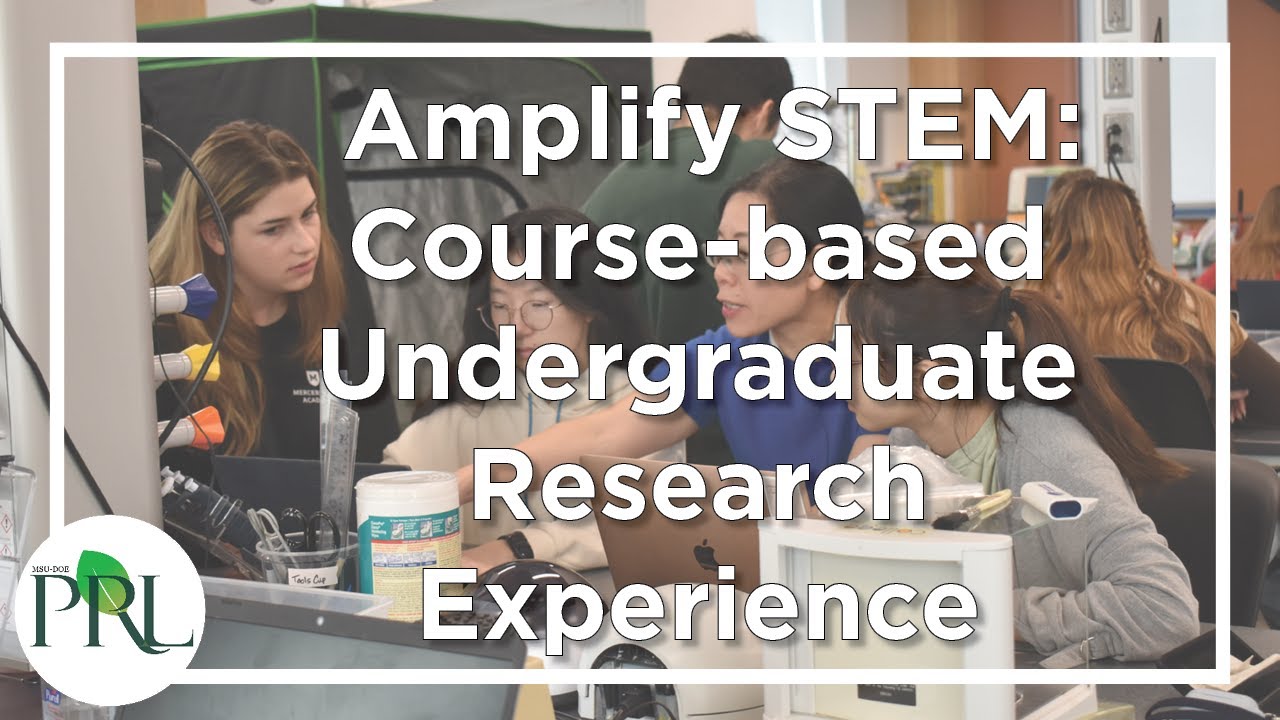 Amplify STEM: Course-based Undergraduate Research Experience