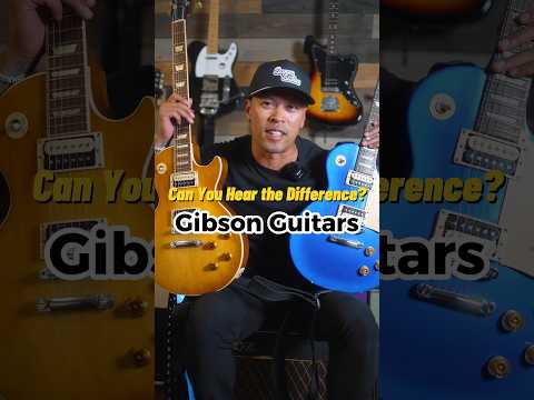 Gibson Les Paul - Studio VS Standard