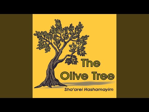 Ha Malkut Shamayim: The Kingdom of Heaven