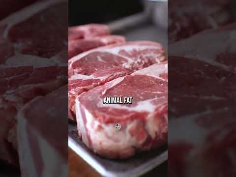 When Is METFORMIN Useful? Watch This!
