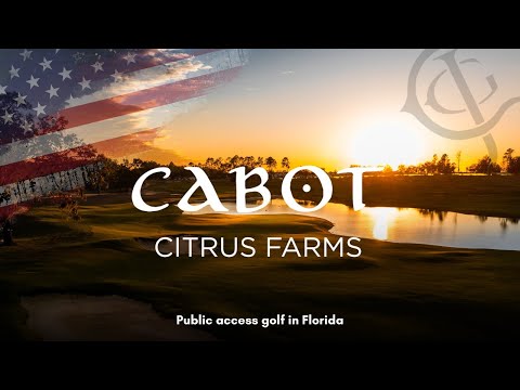 Floridian Adventures Pt 2: Cabot Citrus Farms