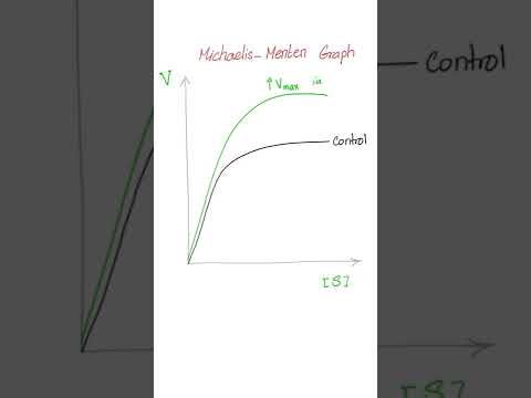 Michaelis-Menten Kinetics (Graphs)- Biochemistry 🧪