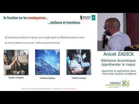 Anicet ZADICK : Résilience économique, appréhender le risque