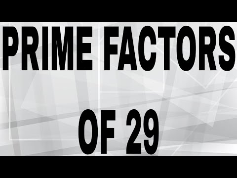 PRIME FACTORS OF 29