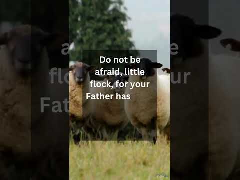 Bible Verse-Do Not Be Afraid
