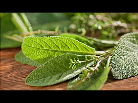 All About Sage – The Basics