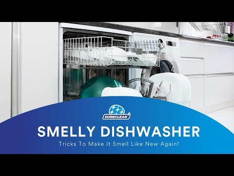 Smelly Dishwasher: Tricks To Make It Smell Like New Again!