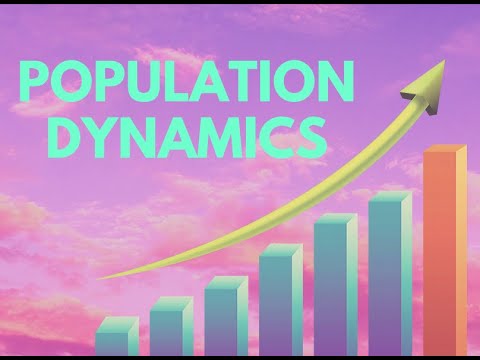 Population dynamics: population pyramids, population growth over time and projections
