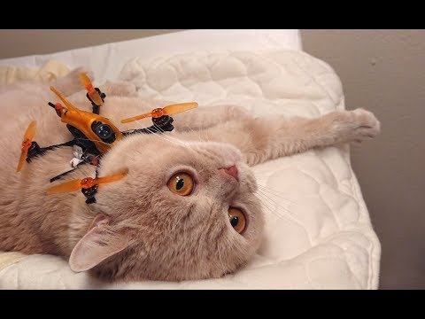 57g, 65mm class quadcopter THAT fast? 0_o