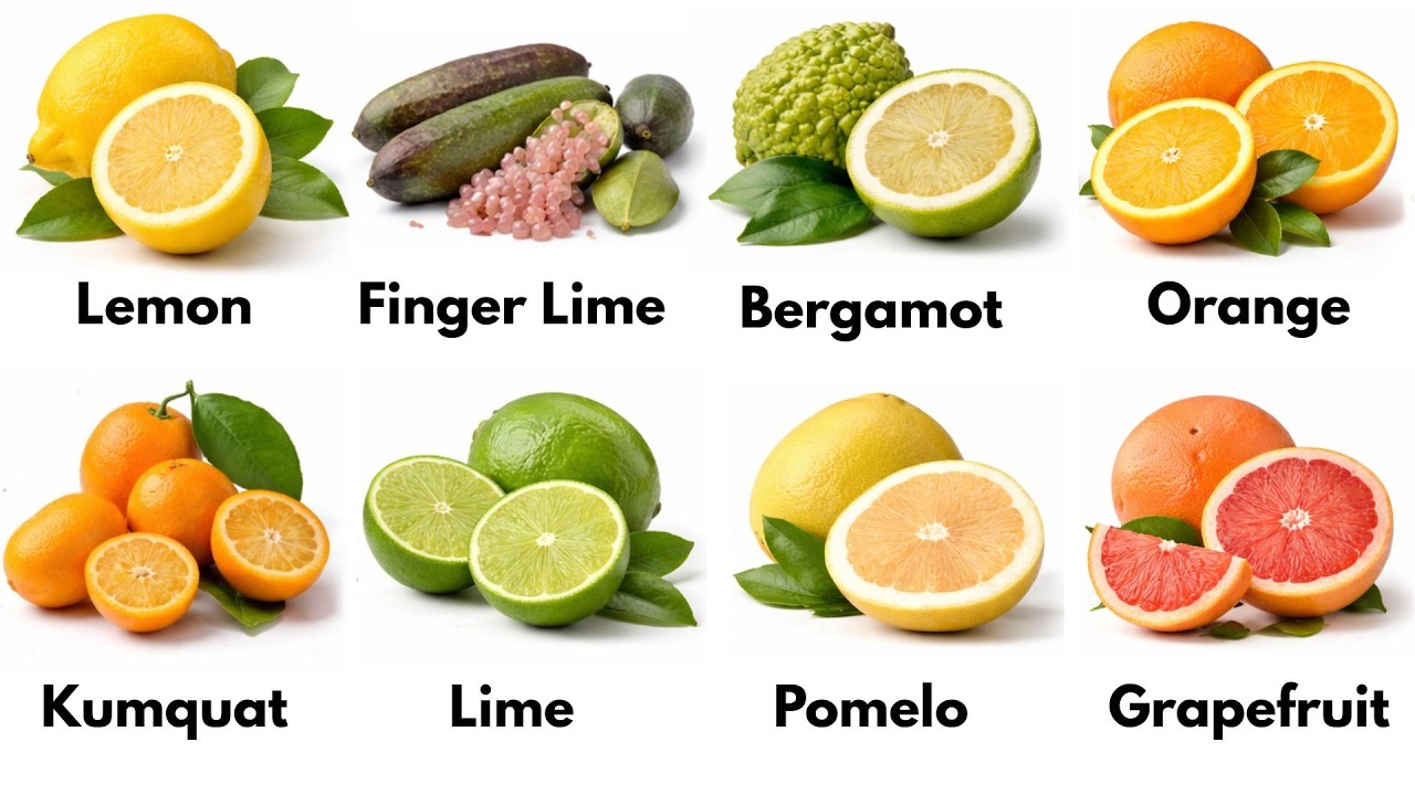 Every Citrus Explained