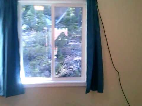 235 Alpine Meadows Rd., Apt. #302, Tahoe City, CA 96145