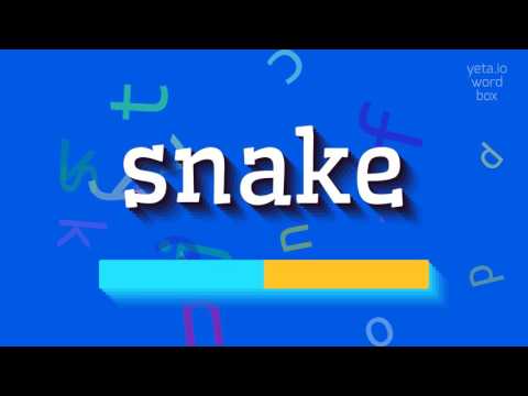 SNAKE - HOW TO PRONOUNCE IT?