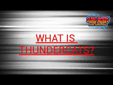 Expand you English Slang Vocabulary: Learn the meaning of THUNDERCATS