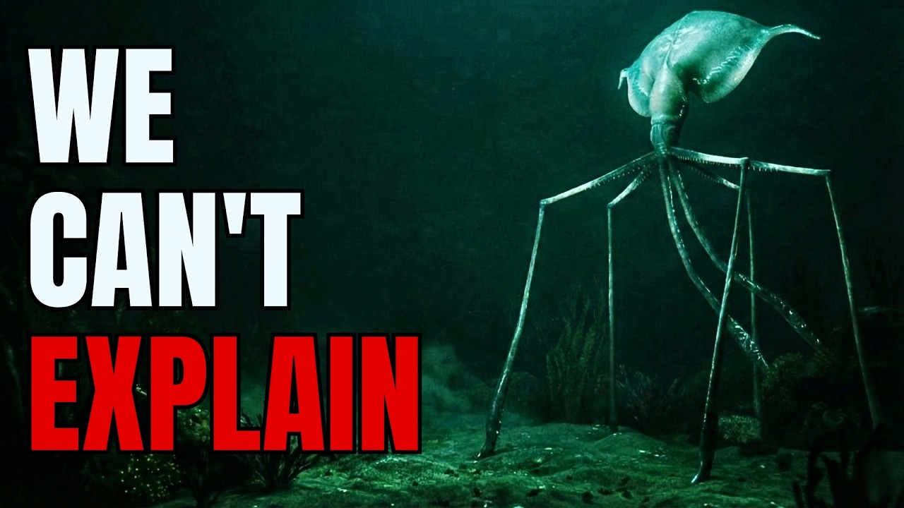 We Were Wrong About The Colossal Squid's Size