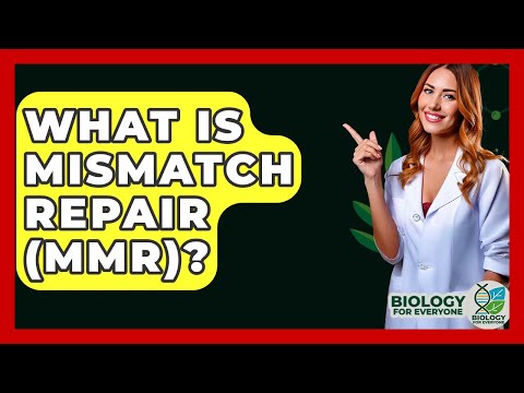 What Is Mismatch Repair (MMR)? - Biology For Everyone