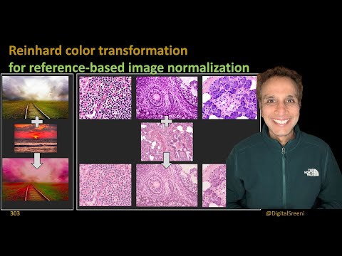 303 - Reinhard color transformation​
