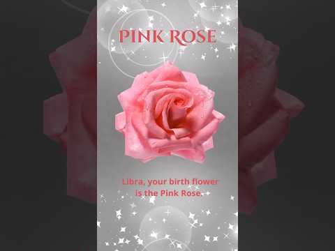 Pink Rose Libra Birth Month Symbolic Meaning Libra, your birth flower is the Pink Rose. 🩷Click link
