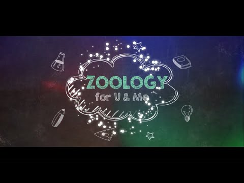 The Anatomy of a Frog: An Instructional Video | ZOOLOGY FOR U AND ME!
