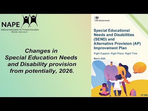 The SEND White Paper 2023