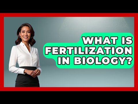What Is Fertilization In Biology? - Biology For Everyone