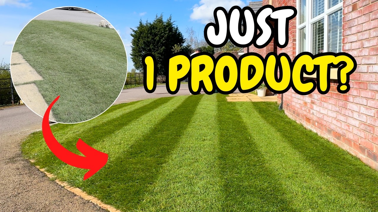 How to Get a Dark Green Lawn (You Only Need This)