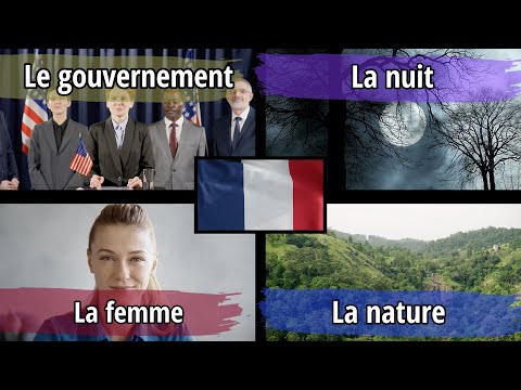 100 Most Common French Words for Beginners | Learn Basic French Vocabulary | Comprehensible Input