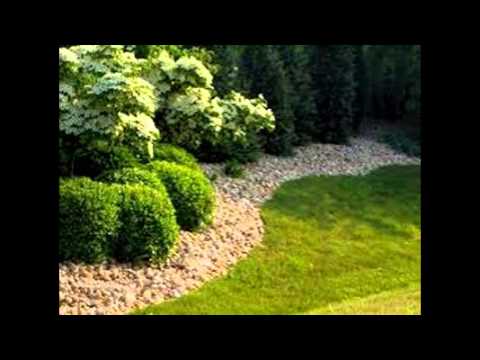 Lawn Services and Yard Maintenance Dover FL 33527