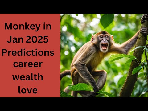 January 2025 Predictions for Monkey