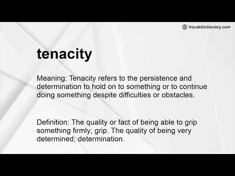 tenacity Meaning